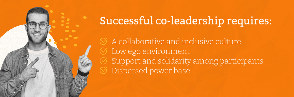 Divide and Conquer: The Collective Power of Co-Leadership